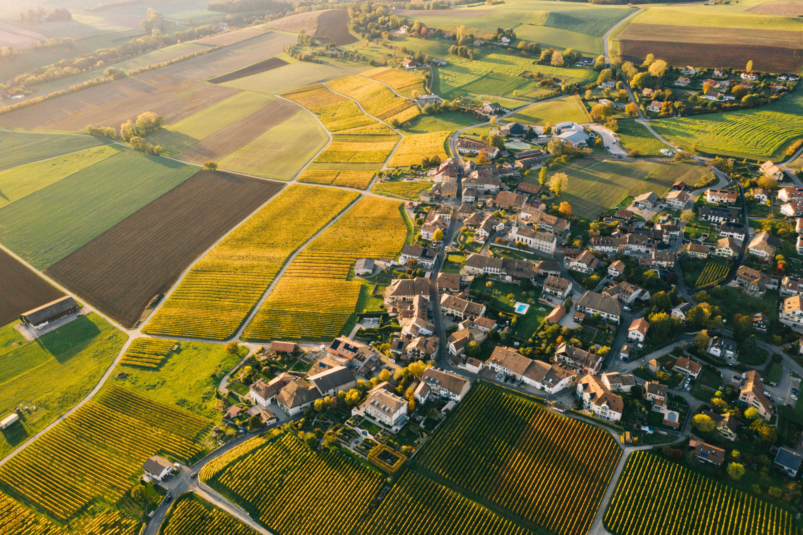 Yens En Automne Tirages Photo Rapha l Dupertuis yens-en-automne-tirages-photo-rapha-l-dupertuis